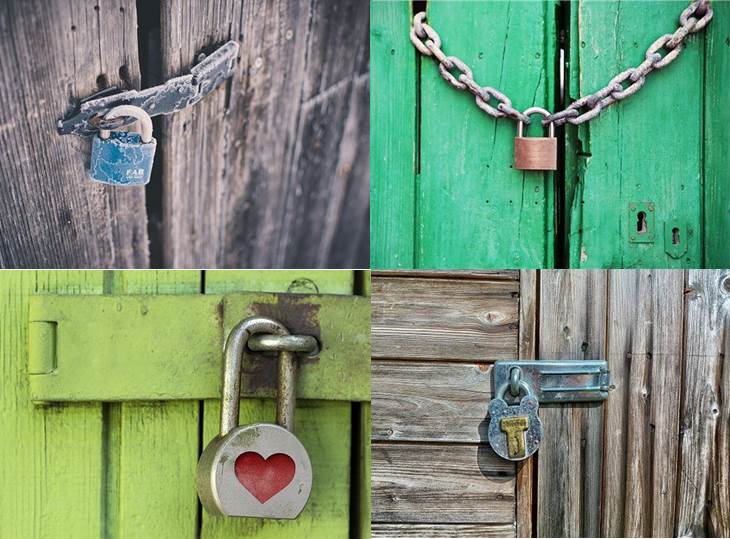 Lockdown Stories - Walk with Suzie